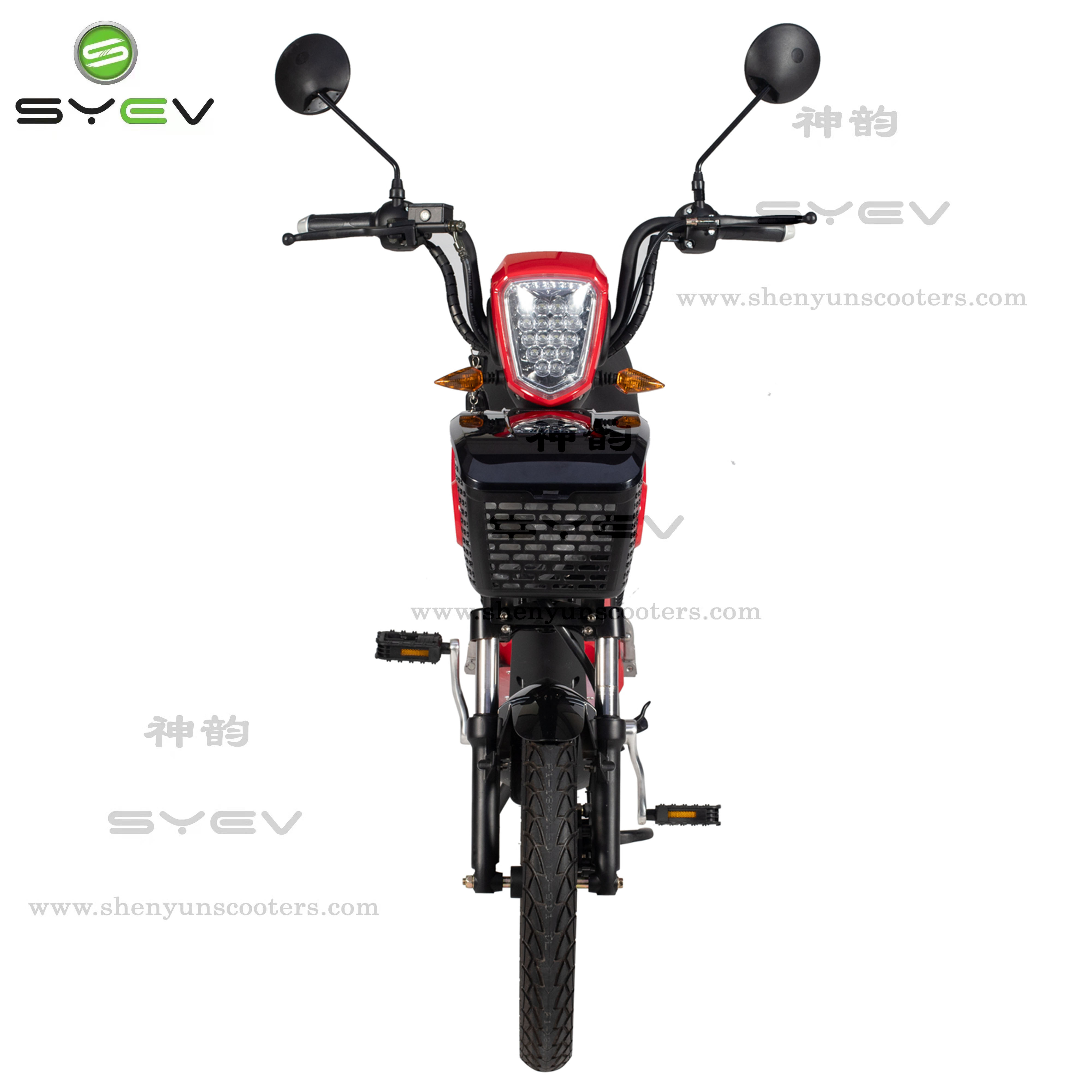 2 Wheel Electric Bike For Adults LXQS2 from China manufacturer - Wuxi ...
